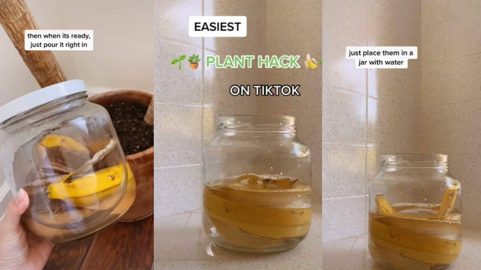 Sustainability on TikTok: How the App’s Creators are Discussing How To ...