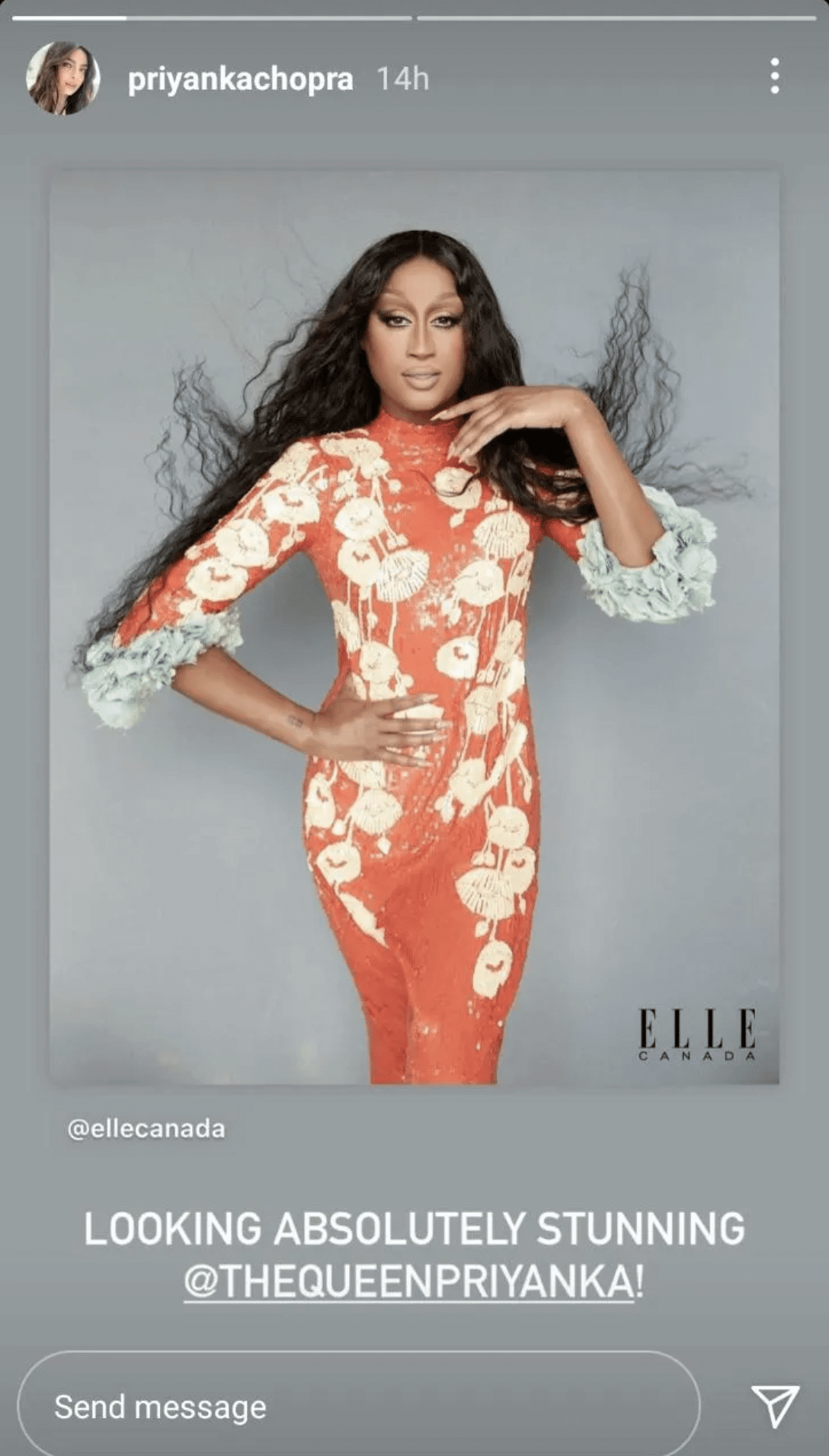 RPDR Priyanka Says Meeting Priyanka Chopra Jonas Was The Most Wracking ...