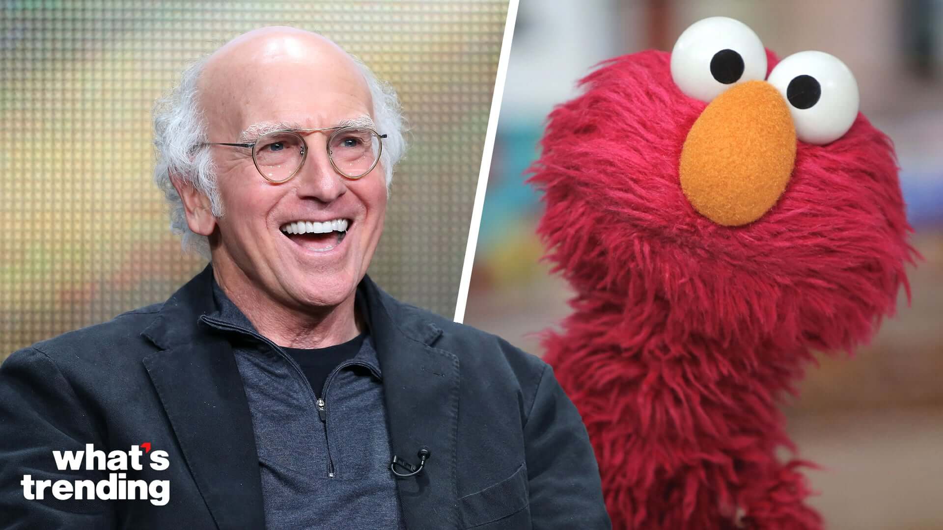 Larry David Attacks Elmo On Live TV | What’s Trending