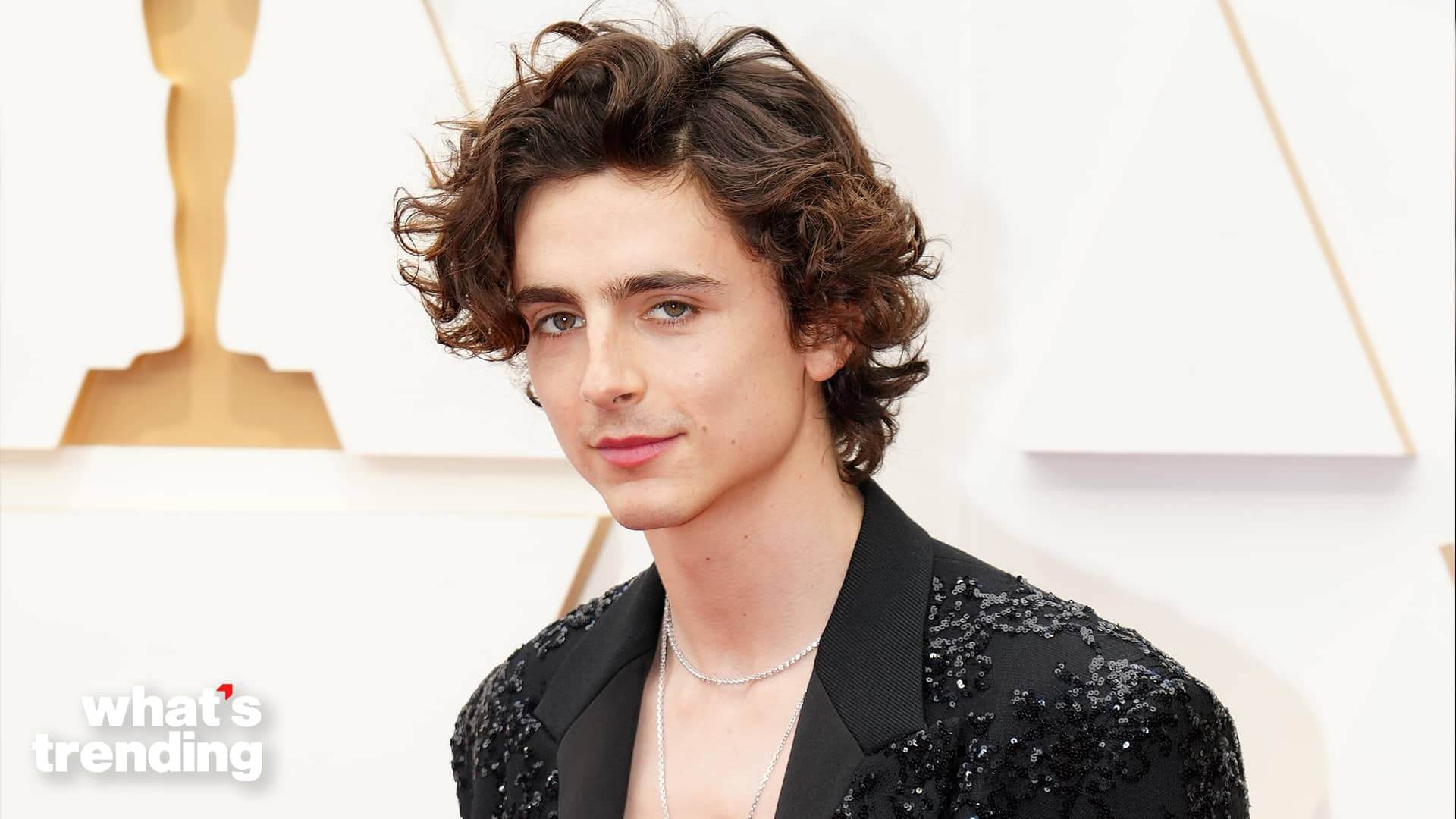Timotheé Chalamet Secures Multi-Year Deal with Warner Bros | What's Trending