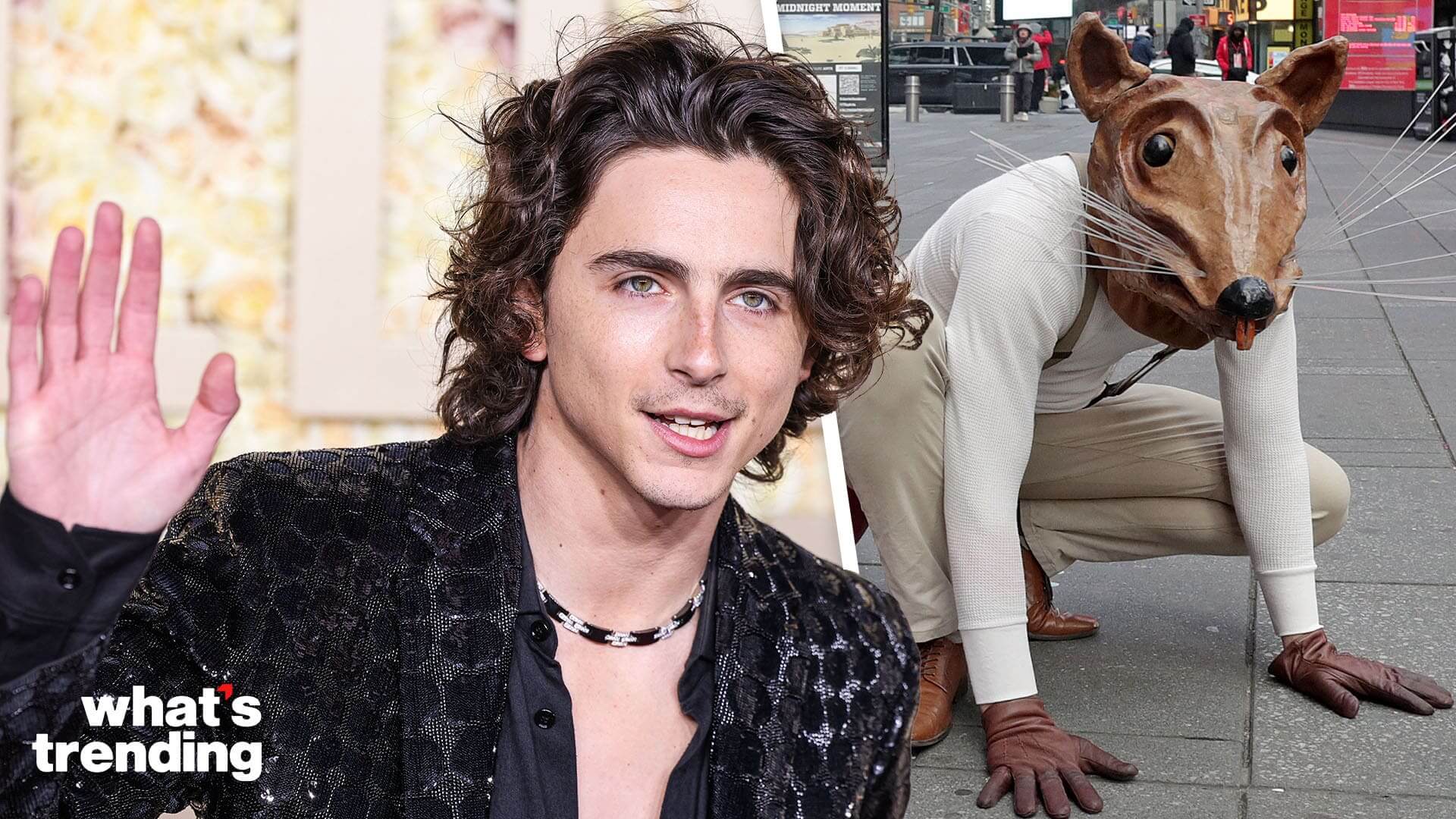 The ‘Hot Rodent Boyfriend’ Trend Explained | What's Trending