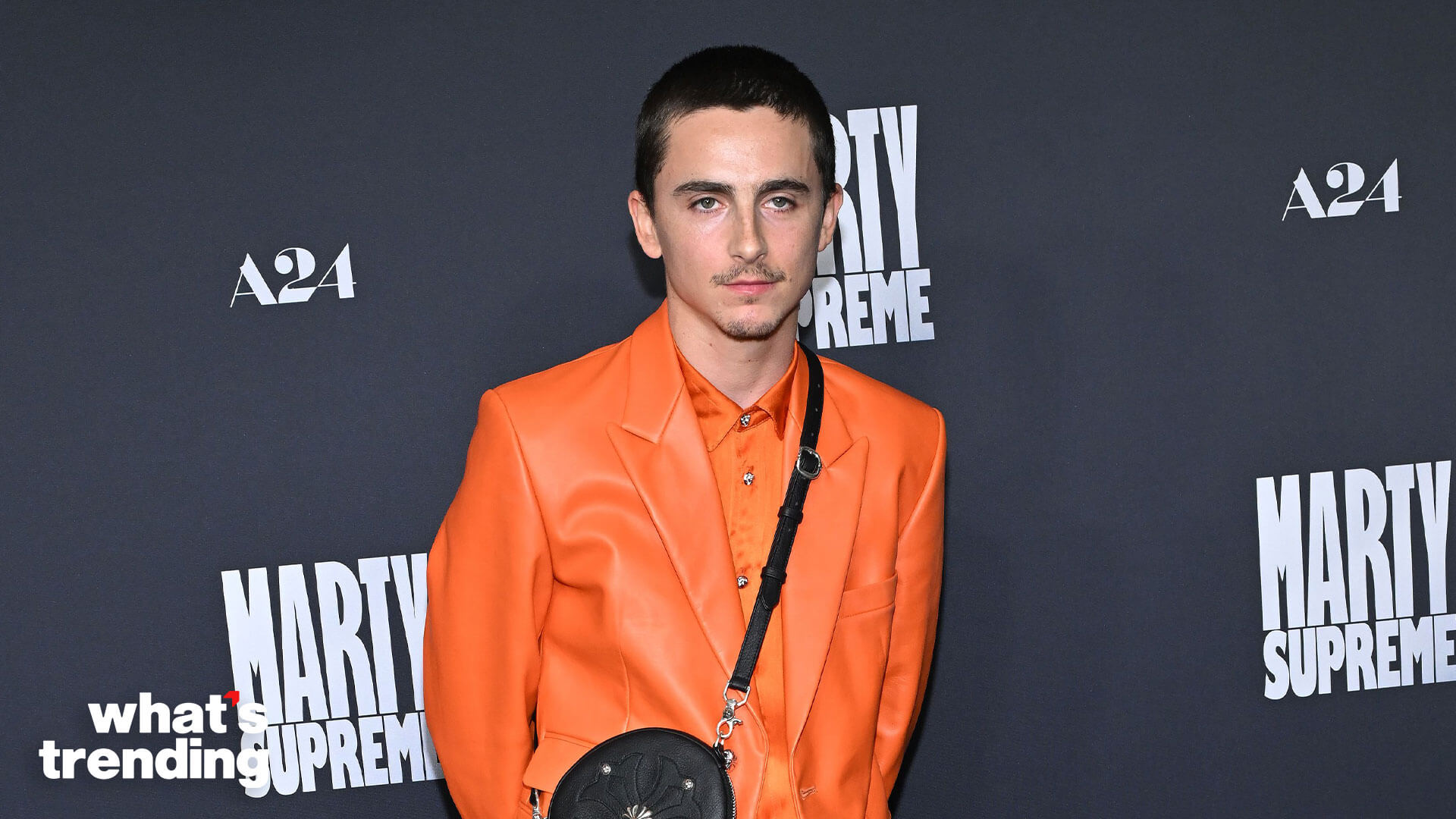Timothée Chalamet Finally Breaks His Silence on Viral Rumor He’s ...